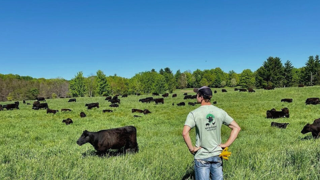 Welcome to Apsey Farms!